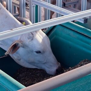 Ponta Agro | Tecnologia para pecuária de ponta a ponta