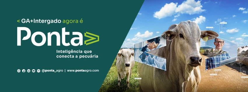 Orçamento | Ponta Agro