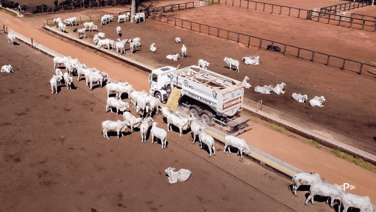 Blog da Ponta | Ponta Agro