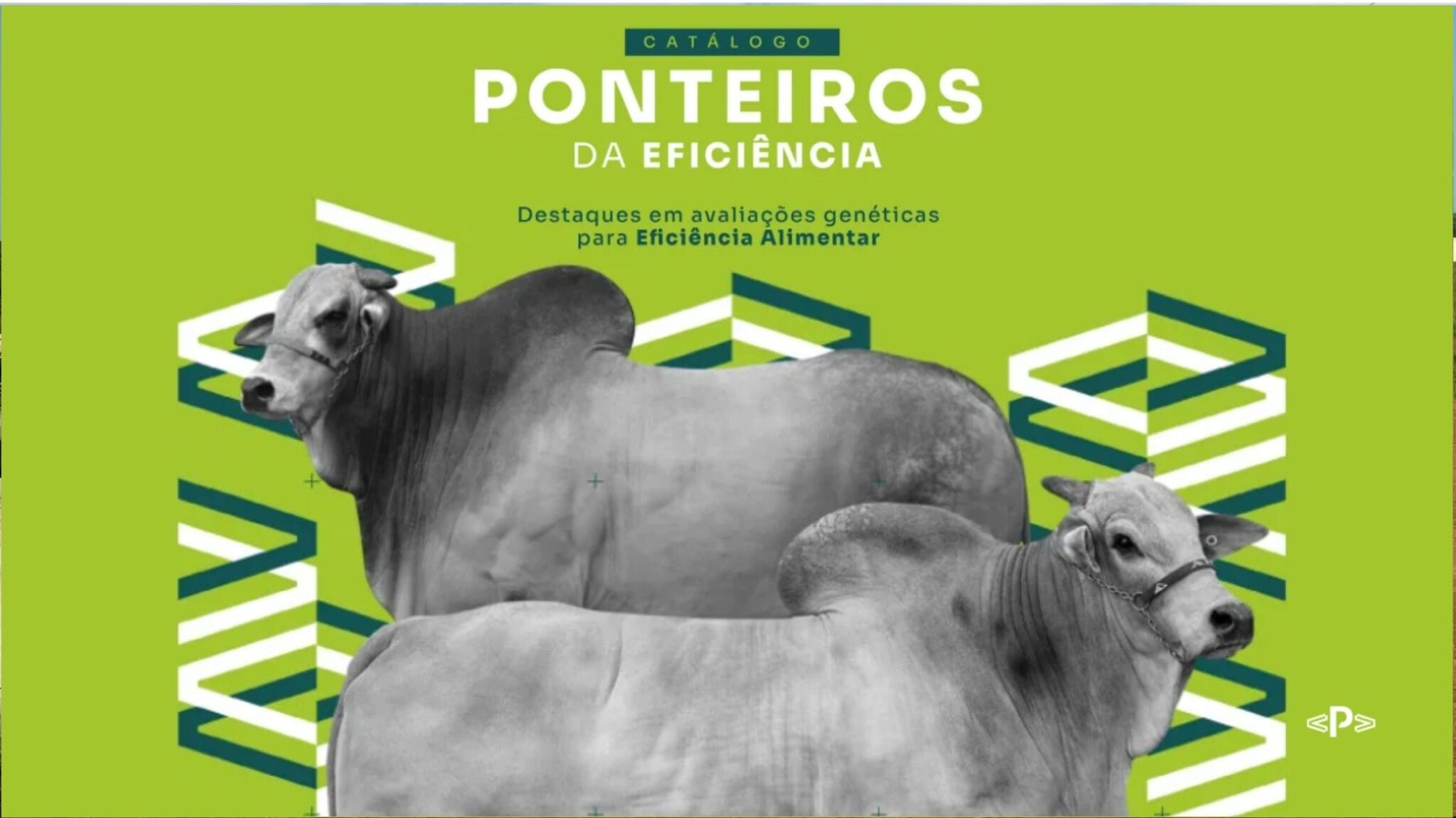 O que é o Catálogo Ponteiros da Eficiência? | Ponta Agro